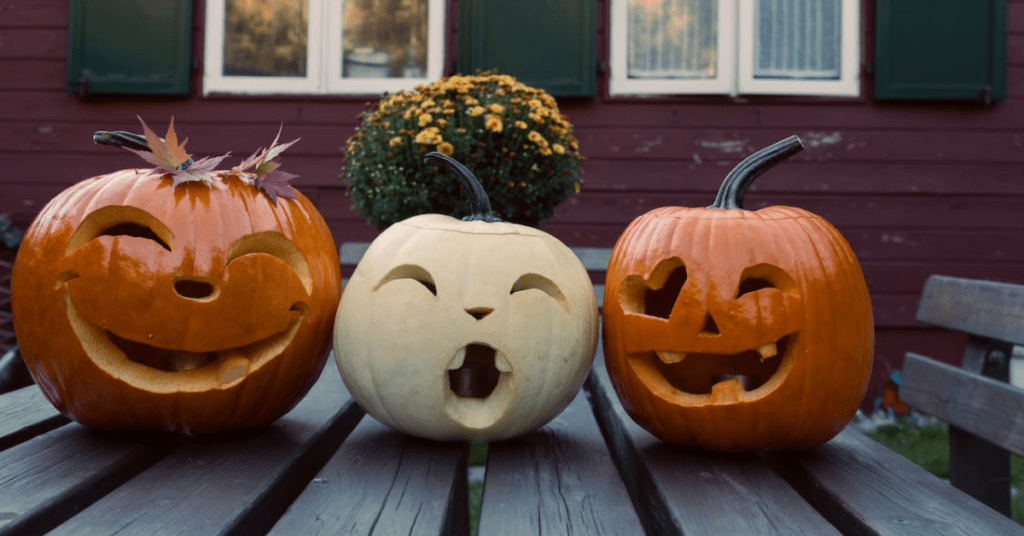 Stunning Fall Season Home Decor to Transform Your Home - MTS