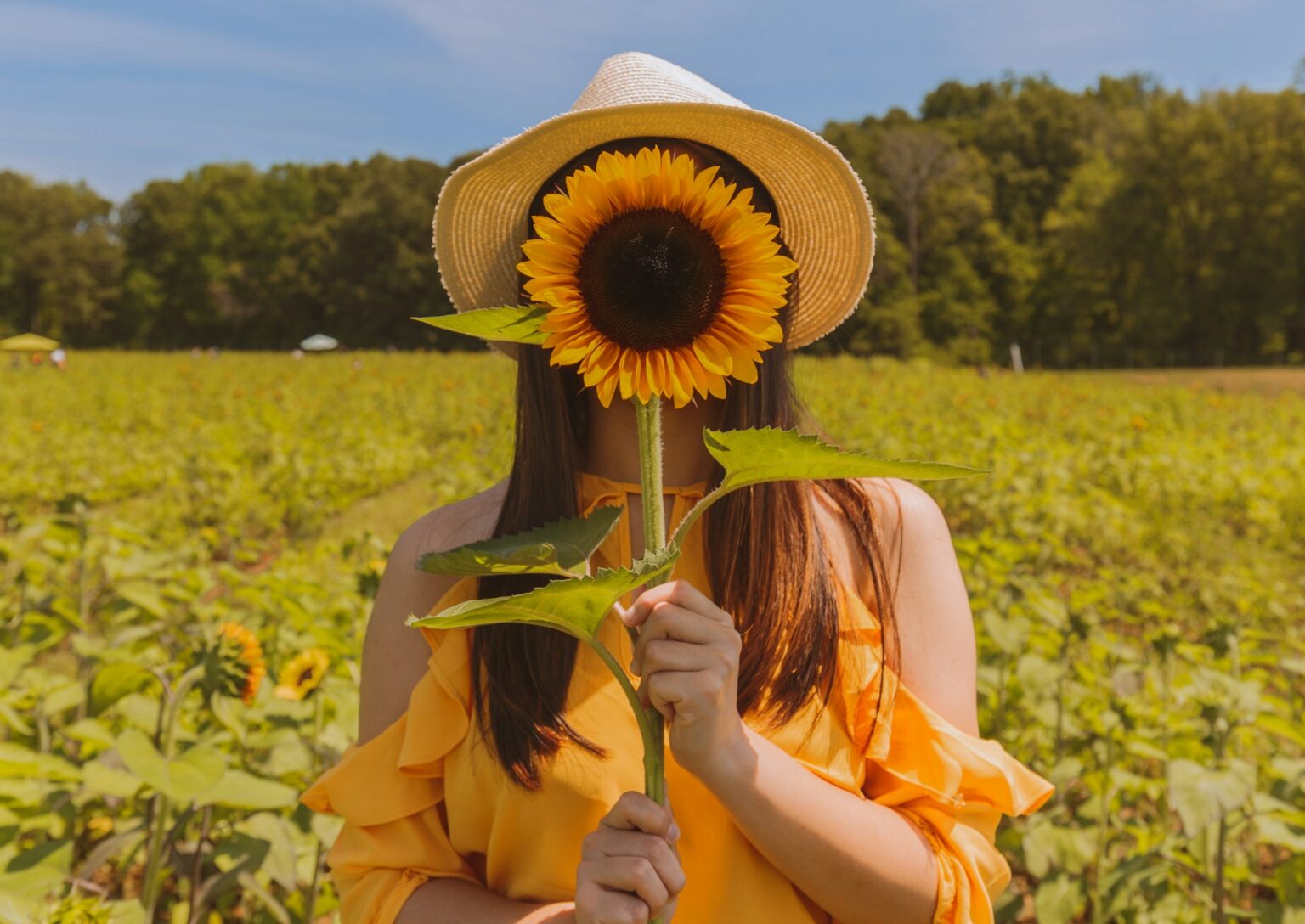 Choosing Flowers For Different Personality Types - MTS